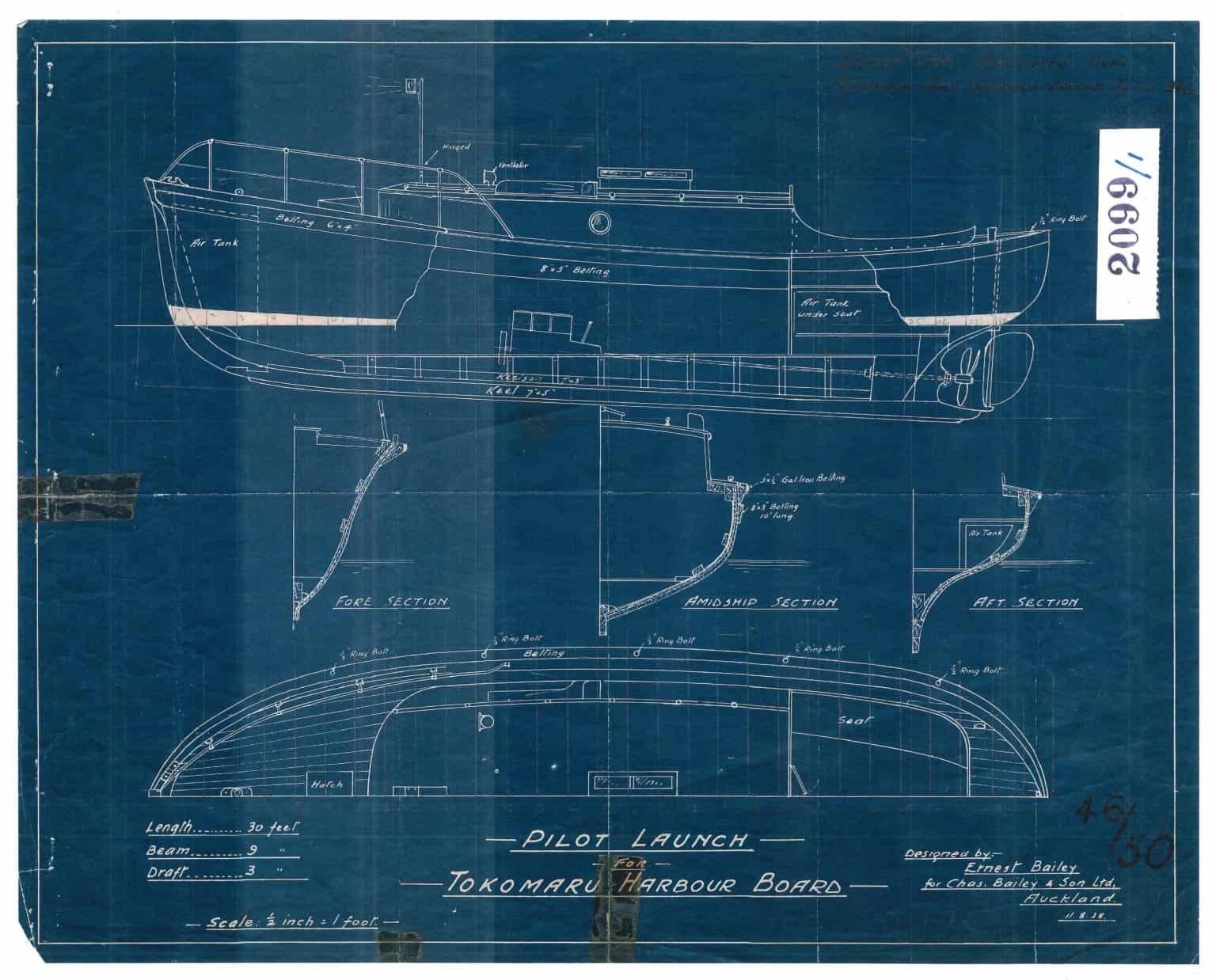 Tuna blueprint - OffCenterHarbor.com
